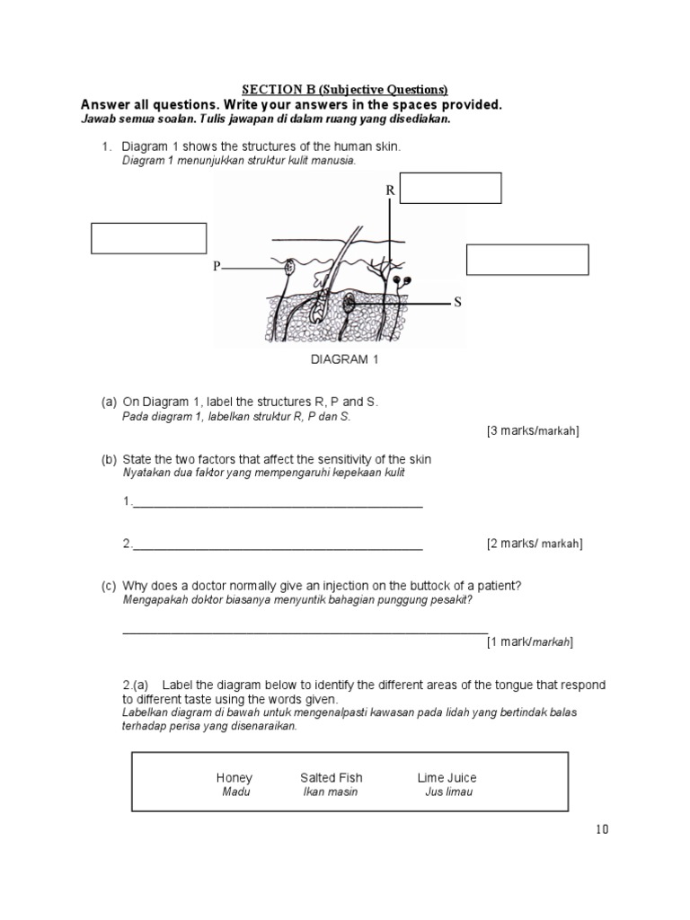 Soalan Struktur Sains F2 | PDF | Suara | Fenomena Fisik
