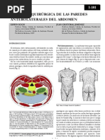 Ángulo de Louis | PDF | Tórax | Anatomía humana