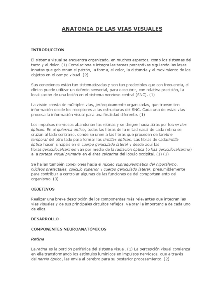 Anatomia de Las Vias Visuales | PDF | Percepción visual | Tálamo