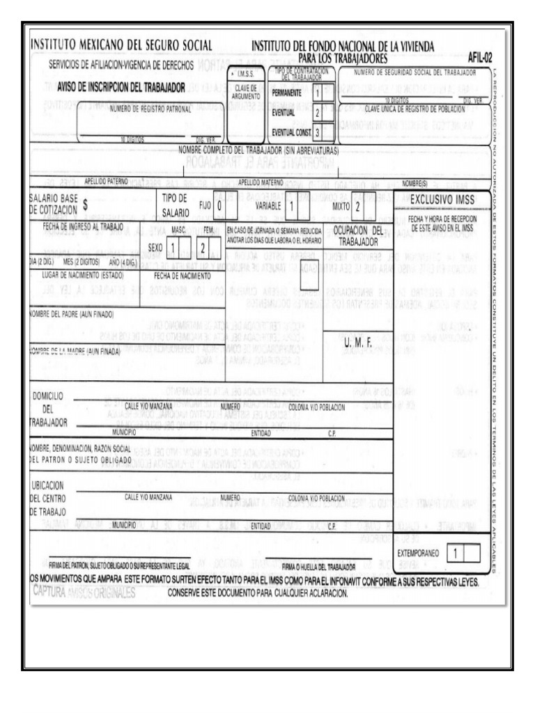 Formatos Imss | PDF