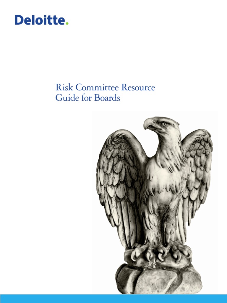 Risk Committee Resource - Guide For Boards | PDF | Audit Committee | Risk