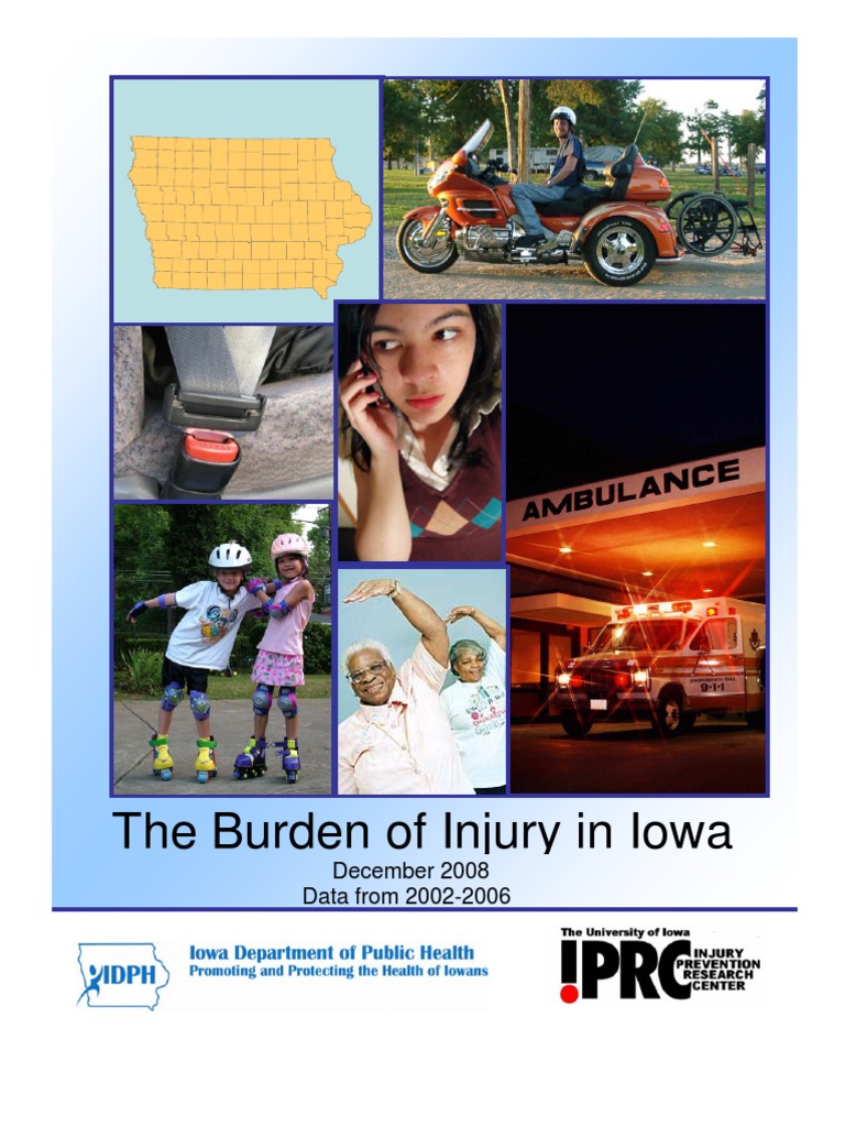 Burden of Injury Full Report | PDF | Preventive Healthcare | Traumatic ...