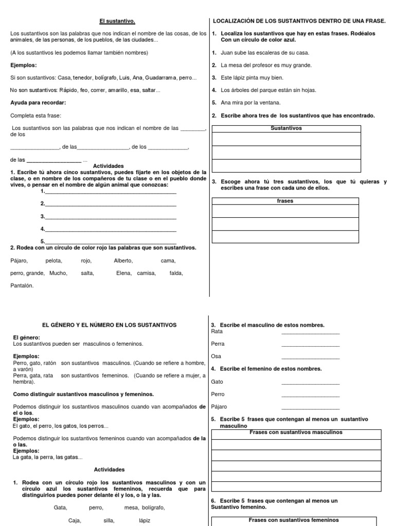 Taller de Sustantivos para Segundo Grado | PDF | Sustantivo | Gatos