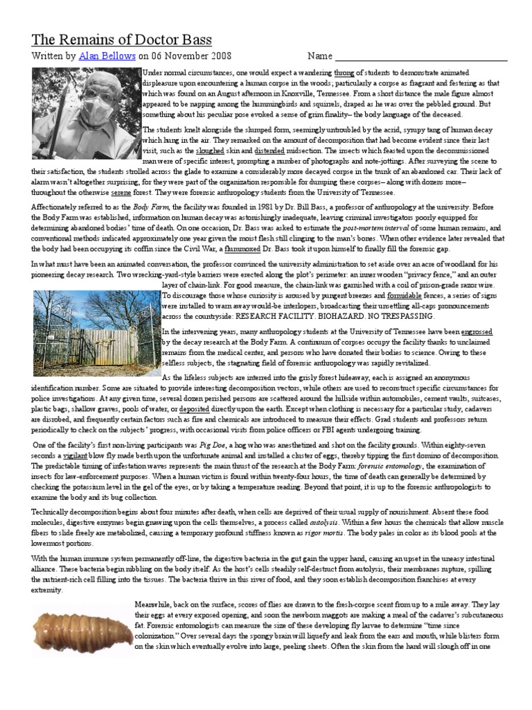 An In-Depth Exploration of the Scientific Process of Human ...