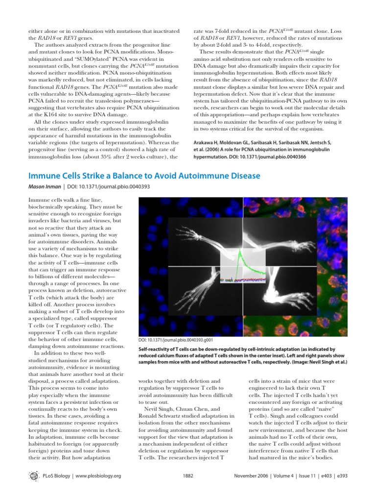 Immune Cells Strike A Balance To Avoid Autoimmune Disease: Mason Inman ...