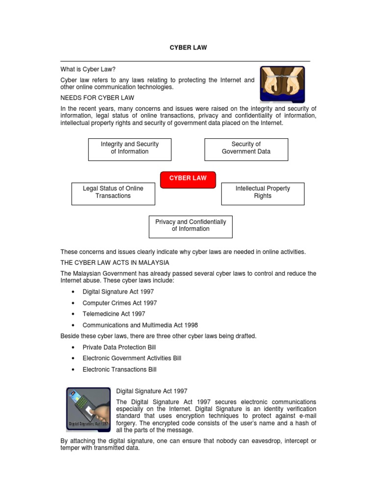 Cyber Law | PDF