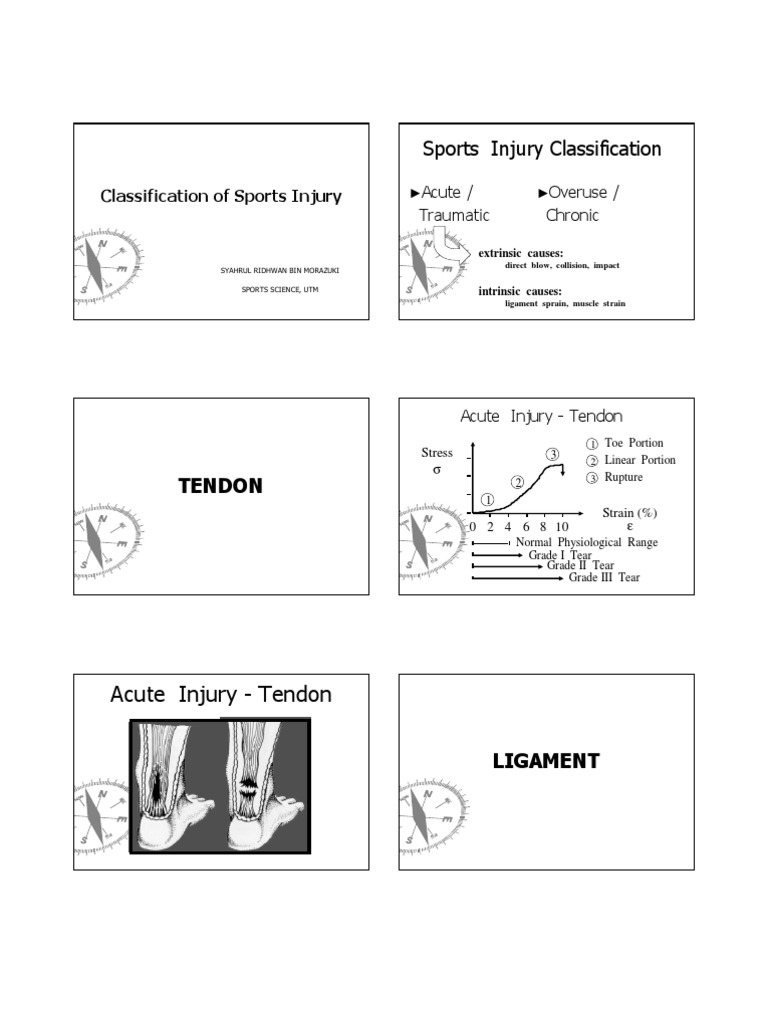 5.classification of Sports Injuries | PDF | Joint | Tendon