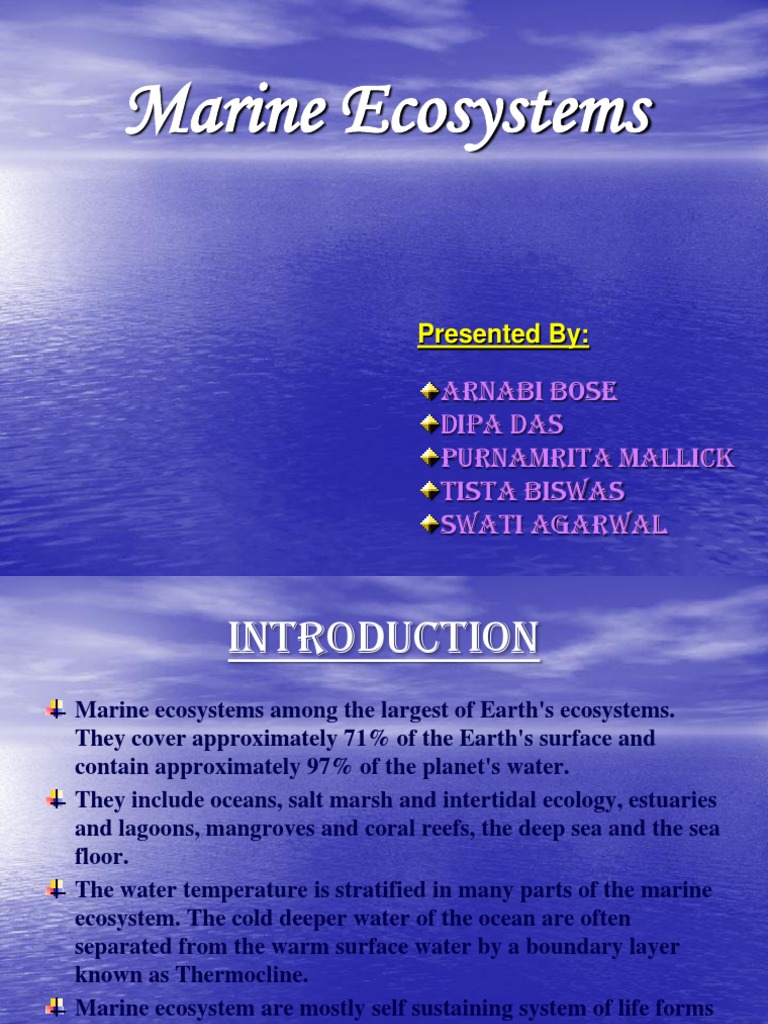 Ecosystem Project | Marine Biology | Sea