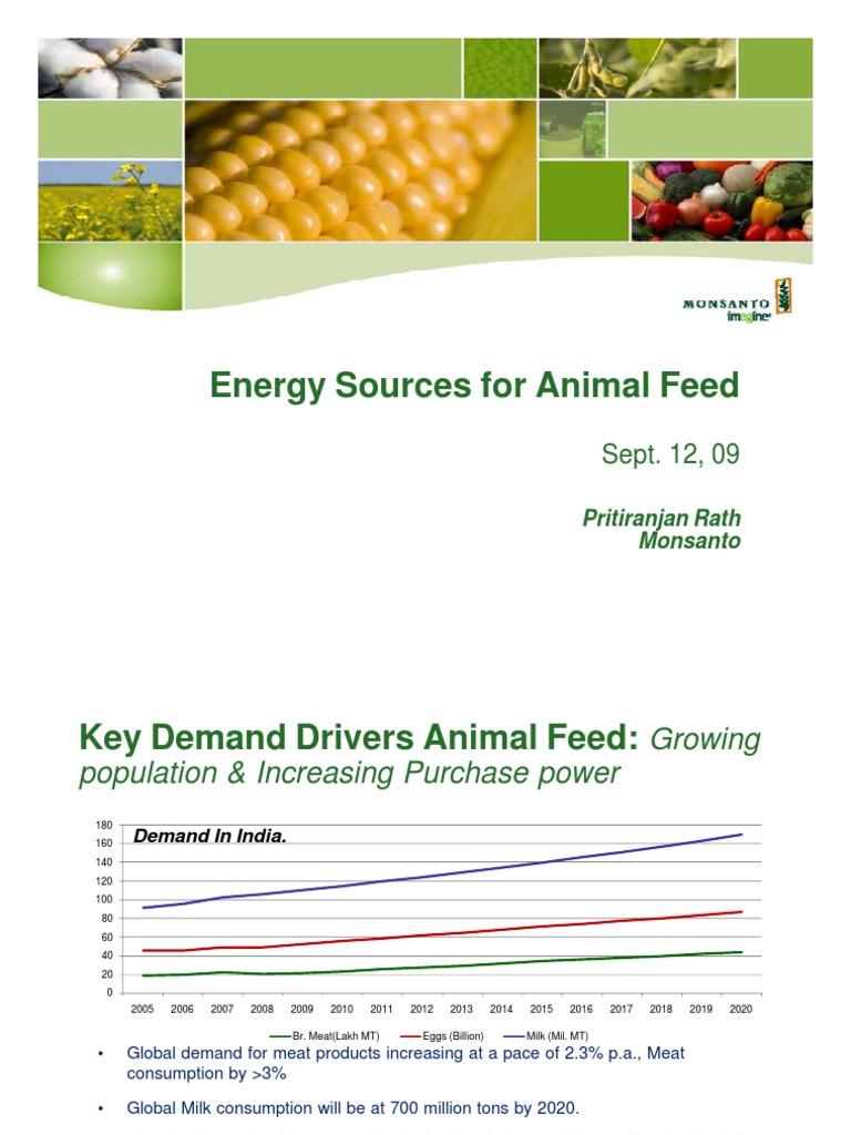 Animal Feed Energy Sources Overview | PDF | Wellness