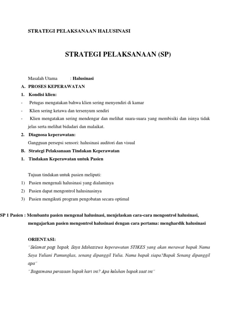 Strategi Pelaksanaan Halusinasi | PDF