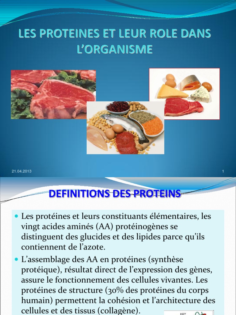 Role Des Proteines | PDF