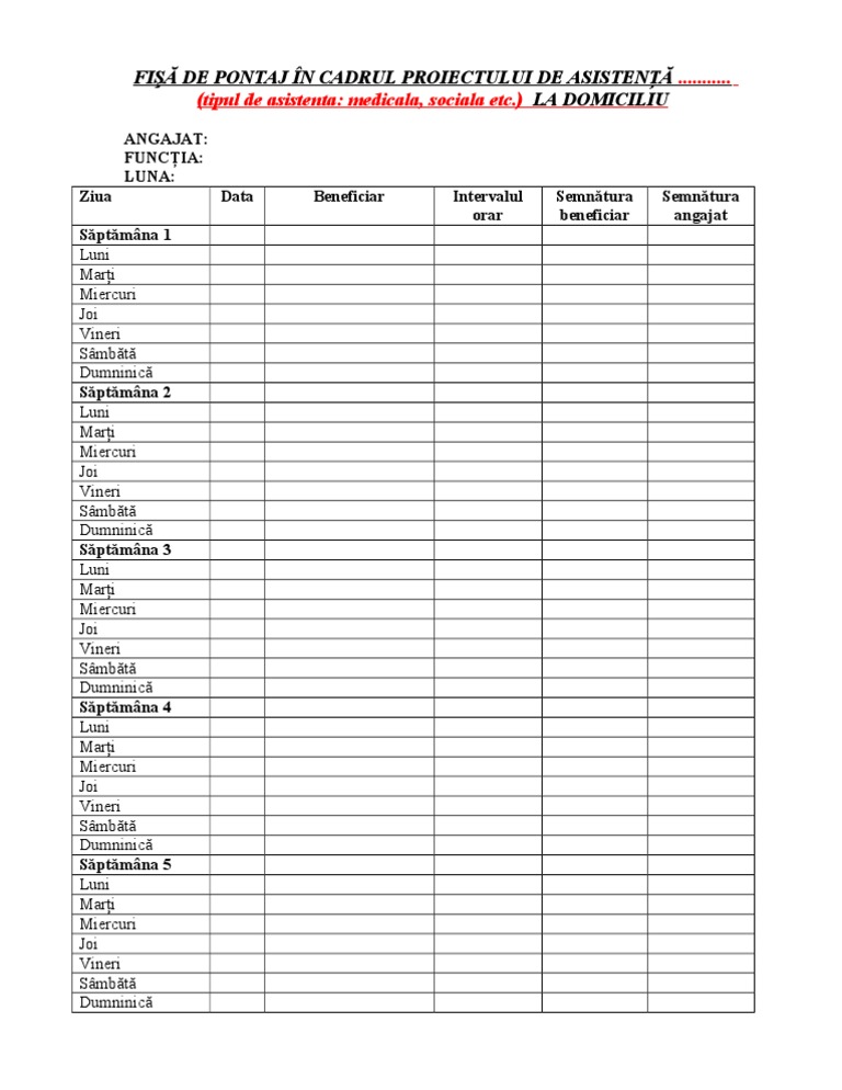 Model Fisa Pontaj A Activitatii | PDF