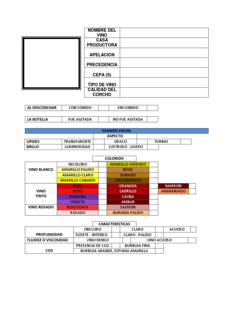Formato Básico para Cata de Vinos | PDF
