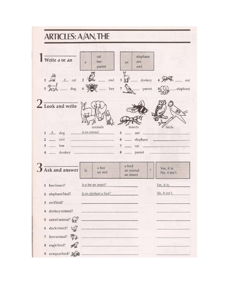 Adjectives for 50 Professions | PDF | Employment | Wellness