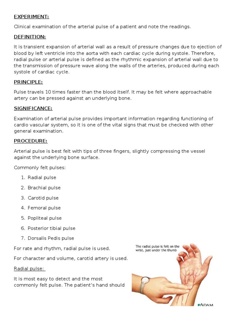 Practical of Arterial Pulse For 1st Year Mbbs Students | PDF | Pulse ...