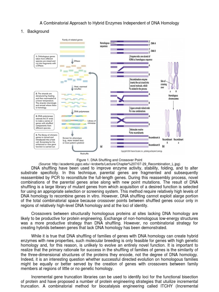 A Combinatorial Approach To Hybrid Enzymes Independent of DNA Homology ...