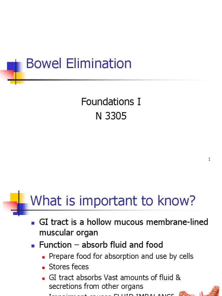 Bowel Elimination: An Overview of Gastrointestinal Function, Common ...