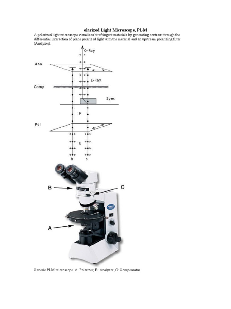 Polarized Light Microscope | PDF | Polarization (Waves) | X Ray