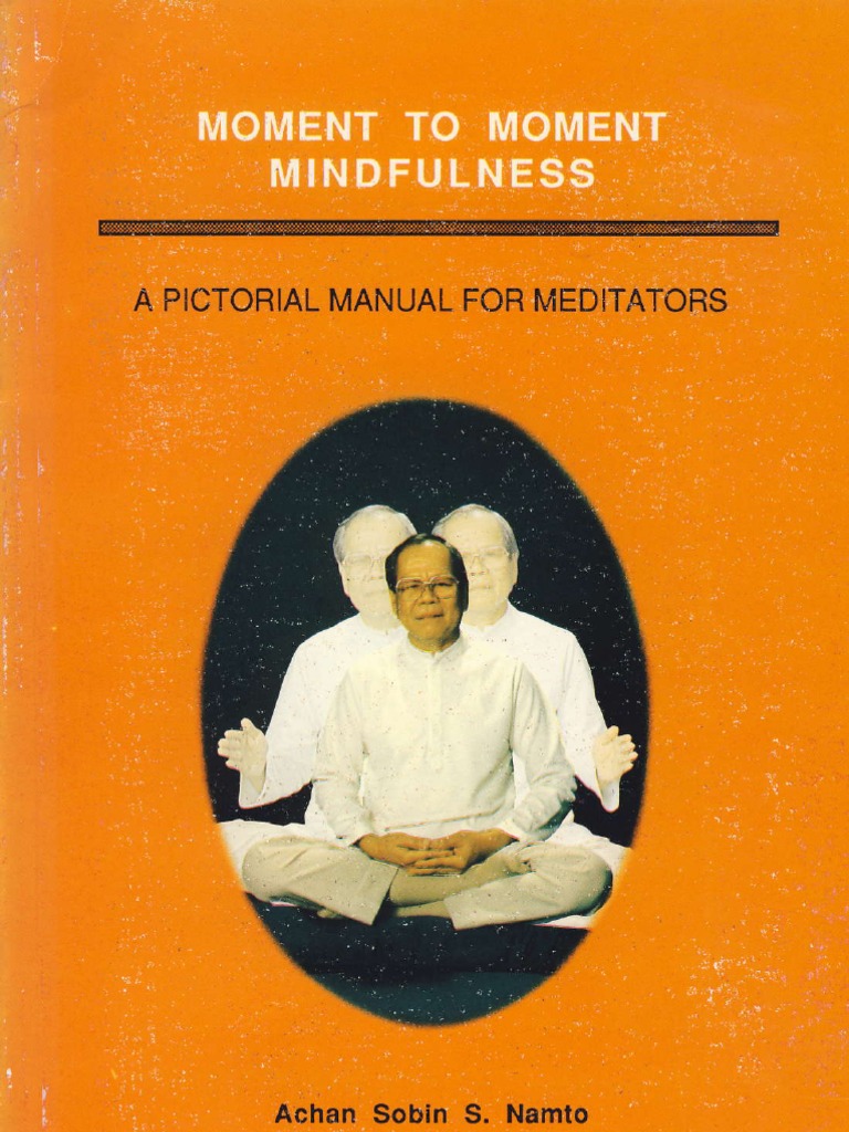 A Step-by-Step Guide to Mindfulness Meditation: Cultivating Insight and ...