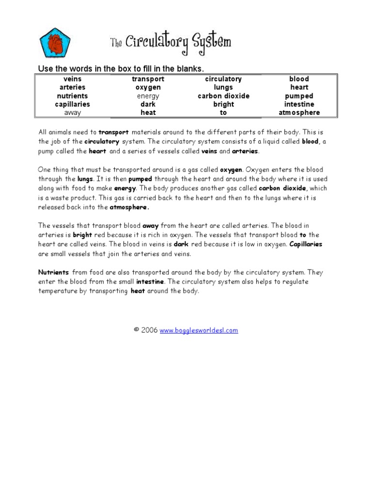 Use The Words in The Box To Fill in The Blanks | PDF