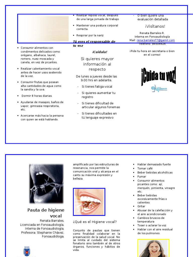 Pauta de Higiene Vocal. | PDF