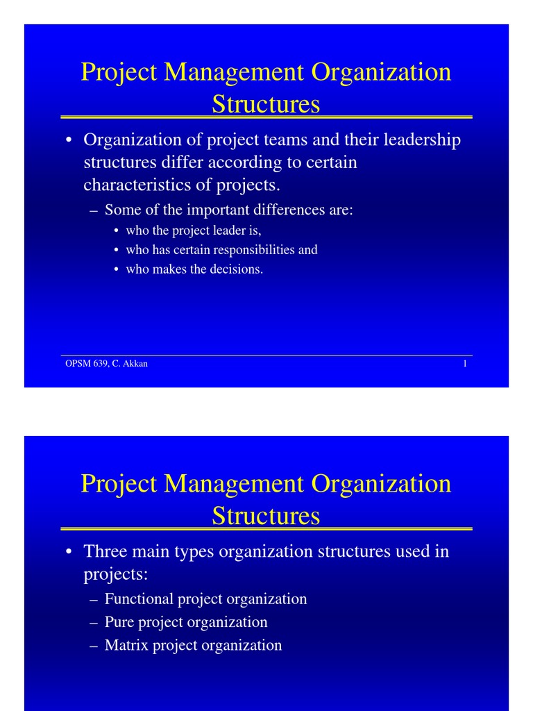 Project Management Organizational Structures | PDF | Organizational ...
