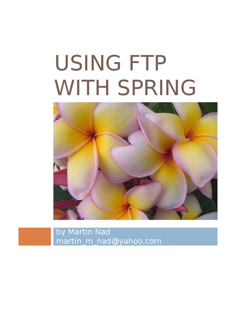Spring FTP Integration Guide | PDF | File Transfer Protocol | Programmer