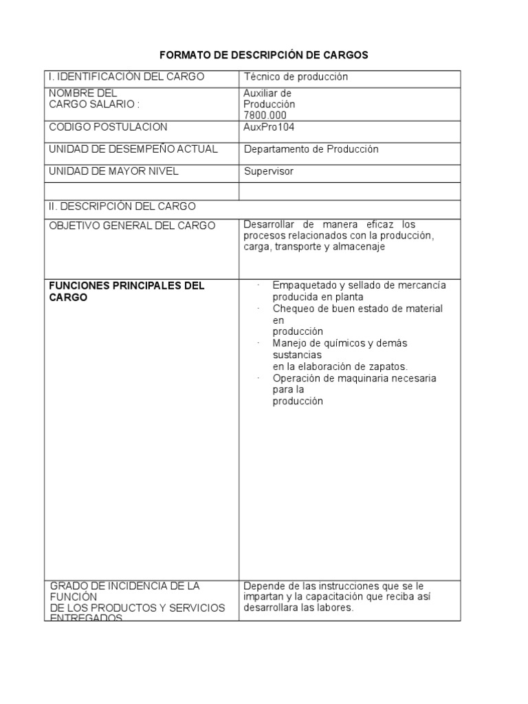 Formato de Descripcion de Cargos | PDF