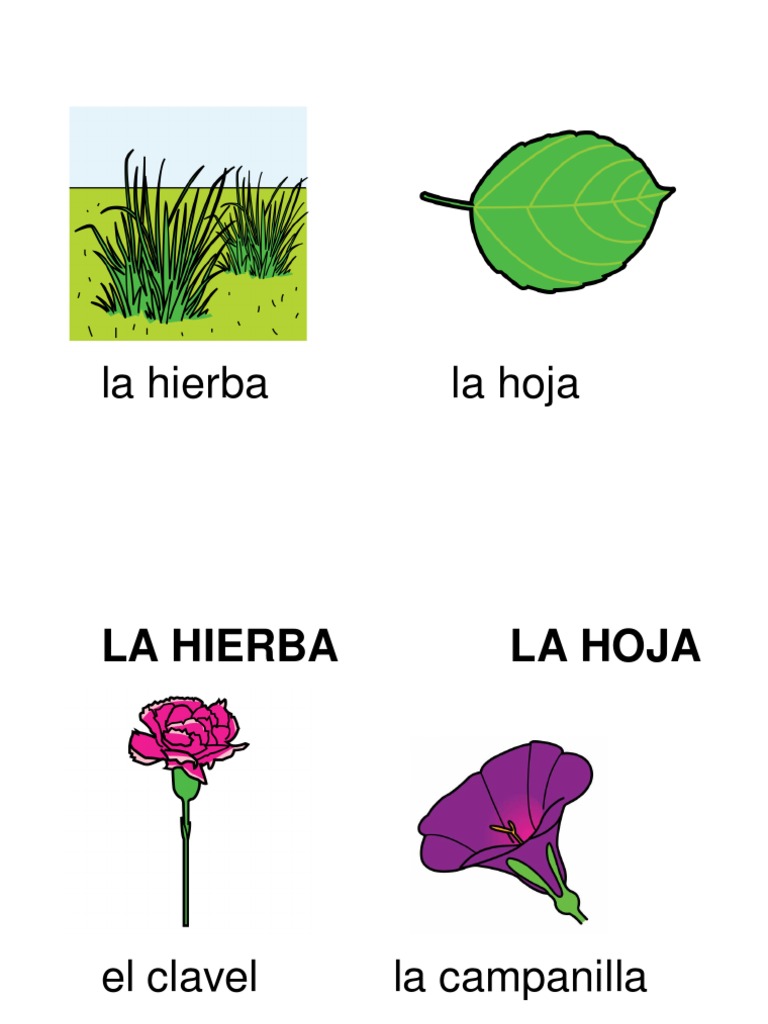 Tarjetas Vocabulario Primavera | PDF