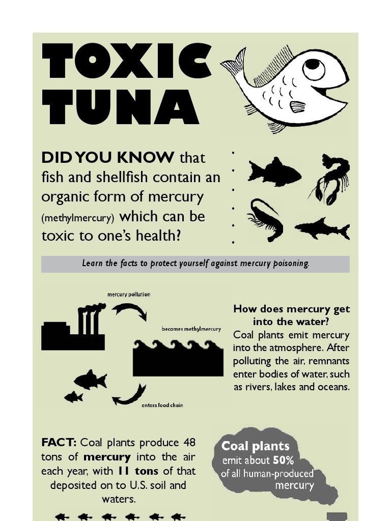 Toxic Tuna: Did You Know That | PDF