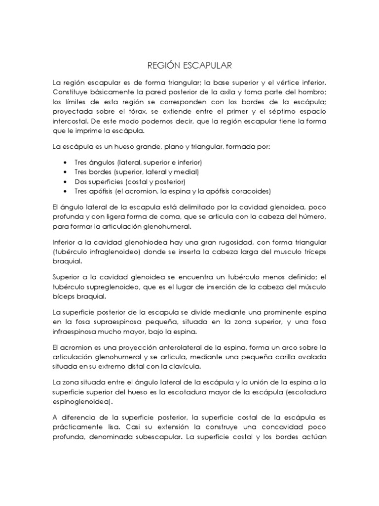 Anatomía de la Región Escapular | PDF | Sistema musculoesquelético ...