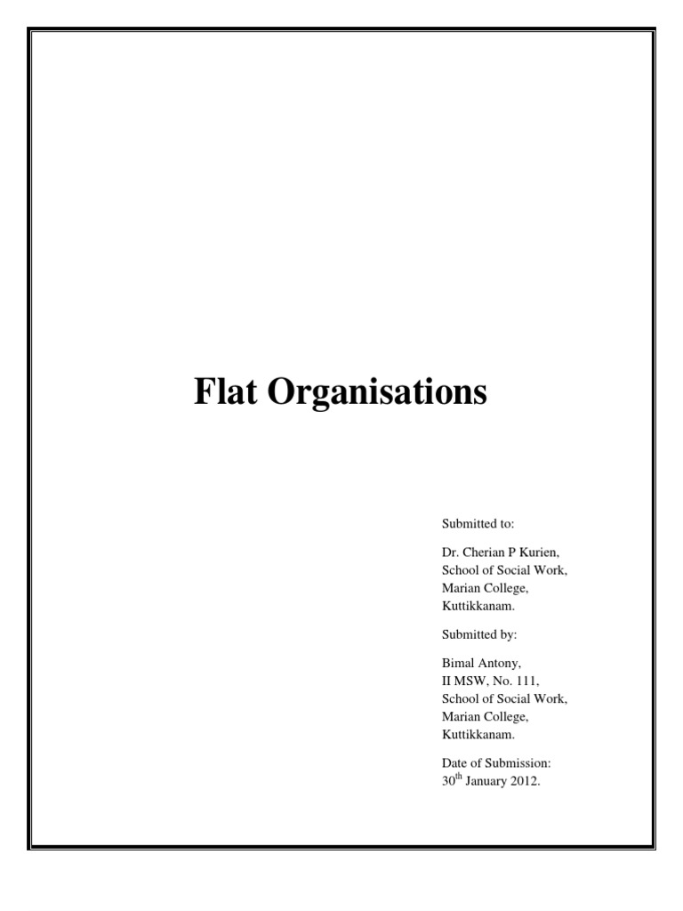 Flat Organisations | PDF | Organizational Structure | Strategic Management