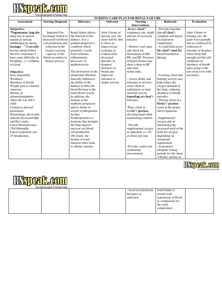 Nursing Care Plan for a Client with Chronic Kidney Disease Experiencing ...