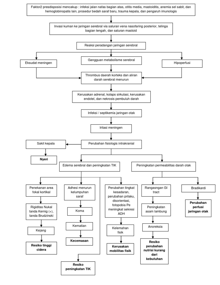 Pathway Meningitis | PDF