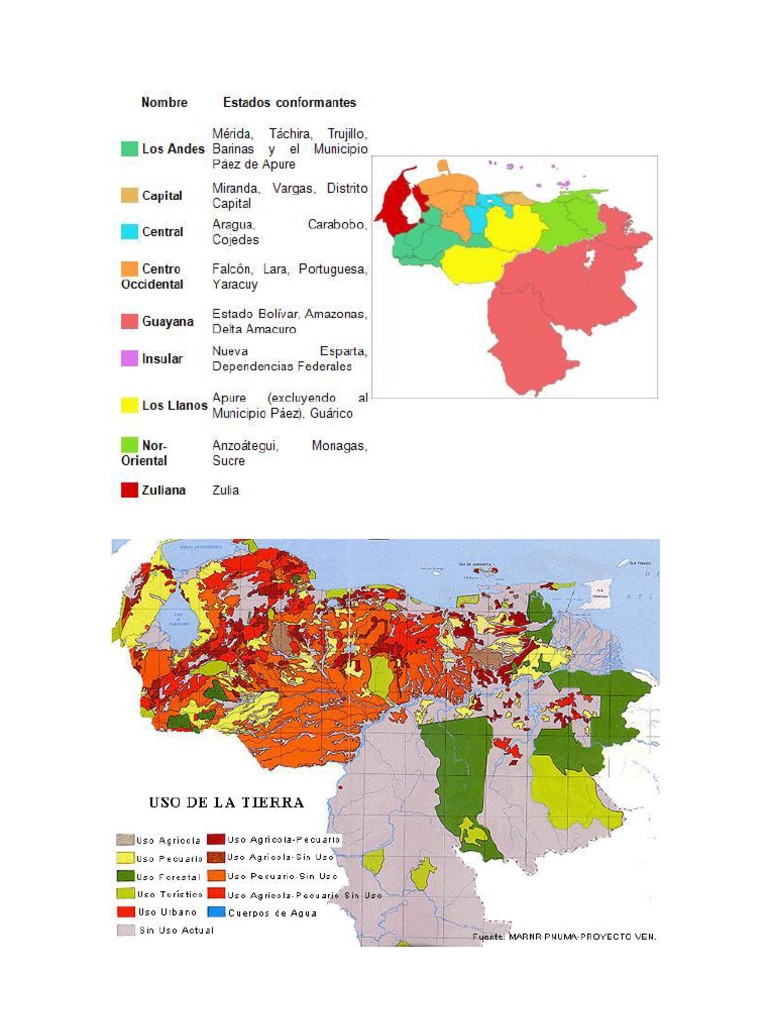 Actividad Ganadera | PDF | Venezuela | Carne