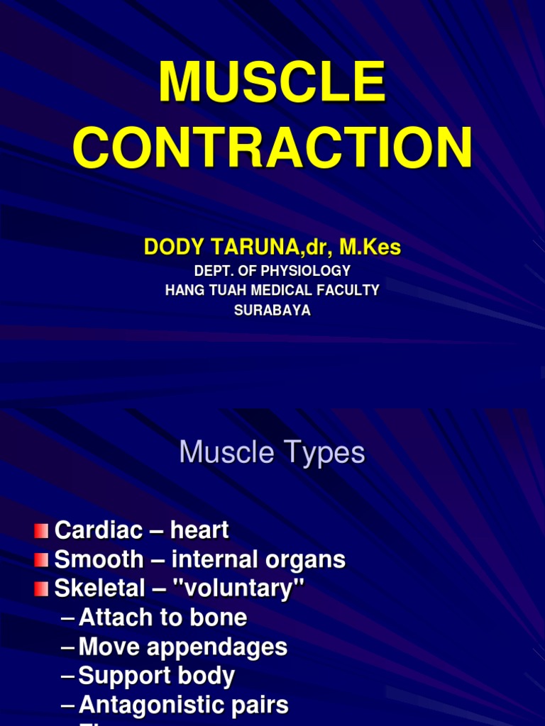 Muscle Contraction Mechanisms Explained | PDF | Muscle Contraction ...