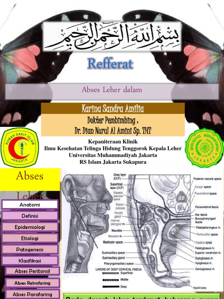 Abses Leher Dalam: Klasifikasi dan Etiologi | PDF