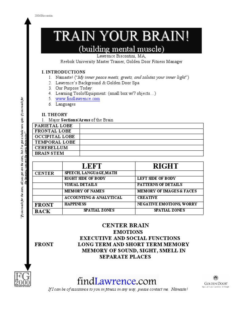 Train the Brain | Memory | Brain