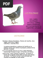 Animales Perjudiciales | PDF