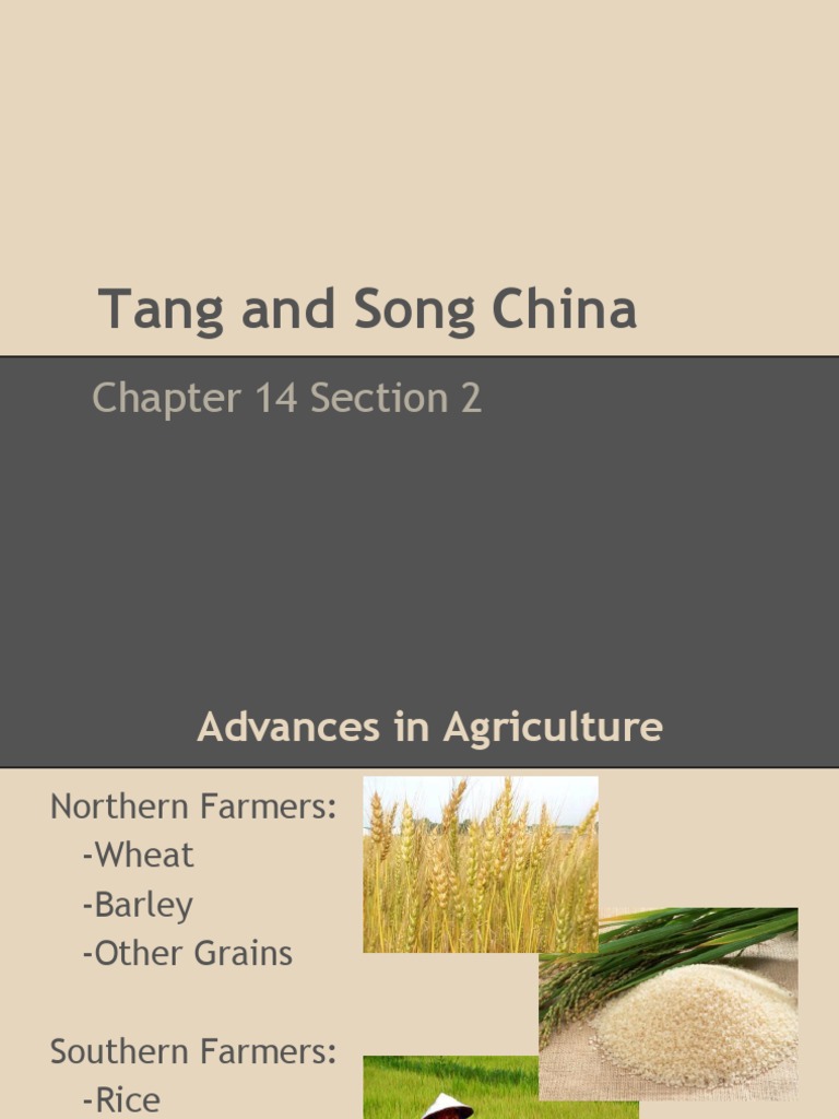Tang and Song Dynasties: Growth and Culture | PDF | Tang Dynasty ...
