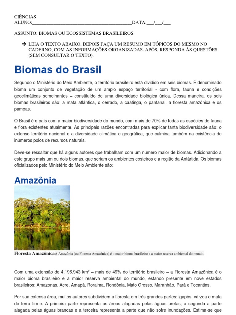 Biomas Brasileiros | PDF | Floresta Amazônica | Florestas