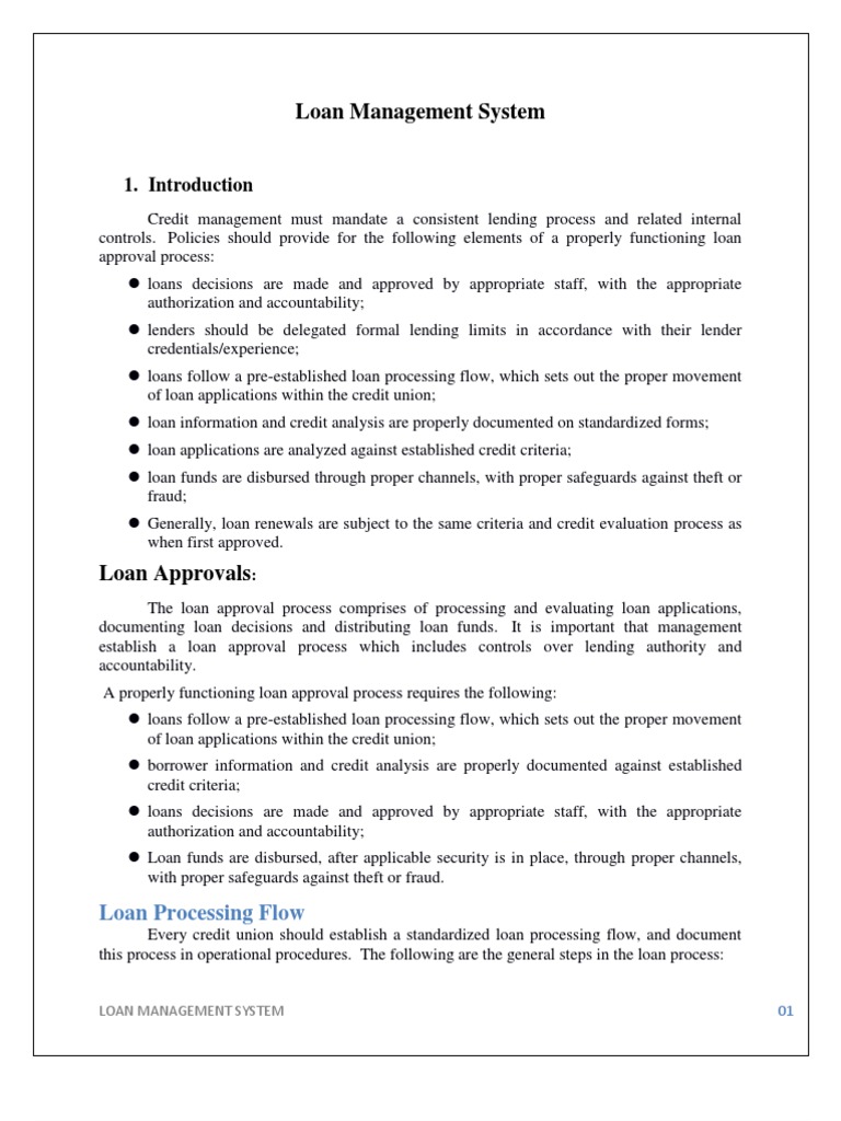 Loan Management System | PDF | Credit (Finance) | Internal Rate Of Return