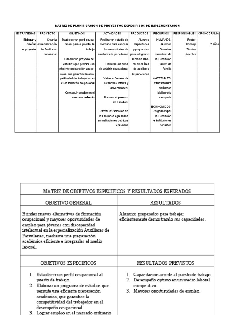 Matriz de Planificacion de Proyectos Especificos de Implementacion ...