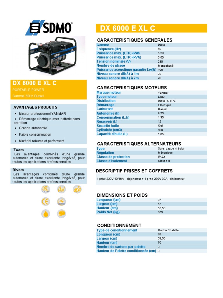 Groupe électrogène SDMO DX 6000 E XL C | PDF | Maison et jardin