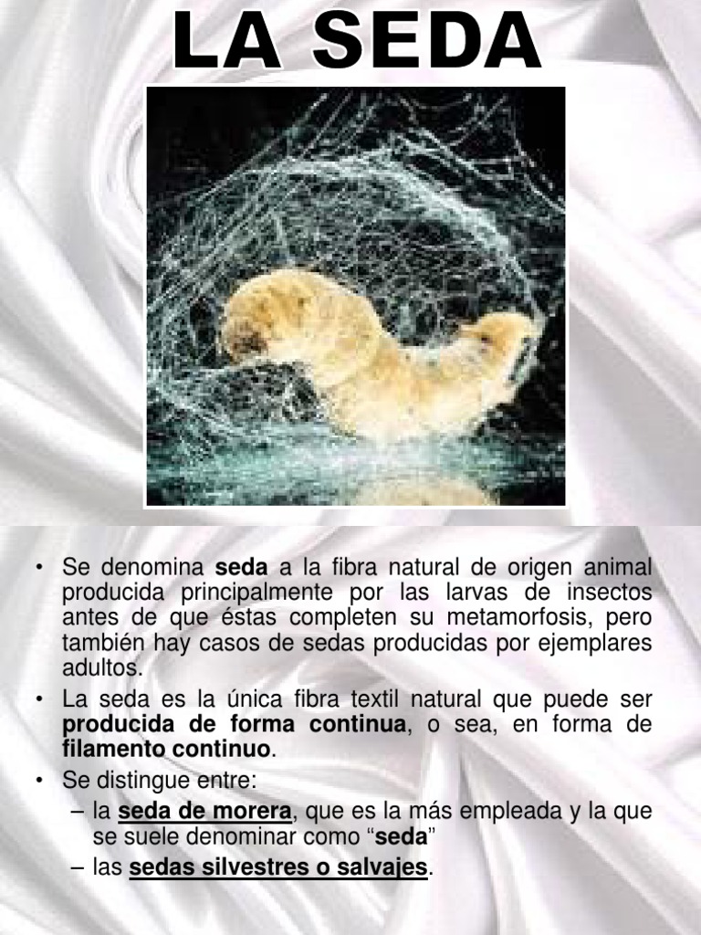 4-La Seda | PDF | Seda | Productos quimicos