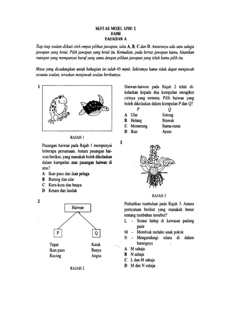 Kertas Model Upsr 2 | PDF