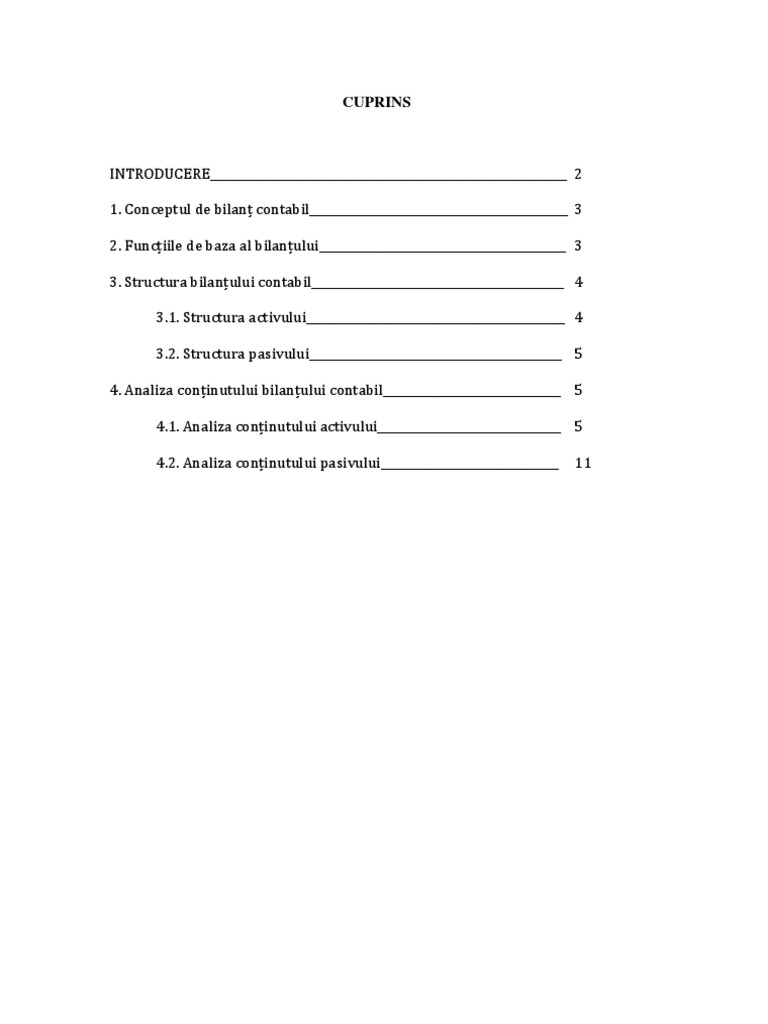 Bilant Contabil | PDF