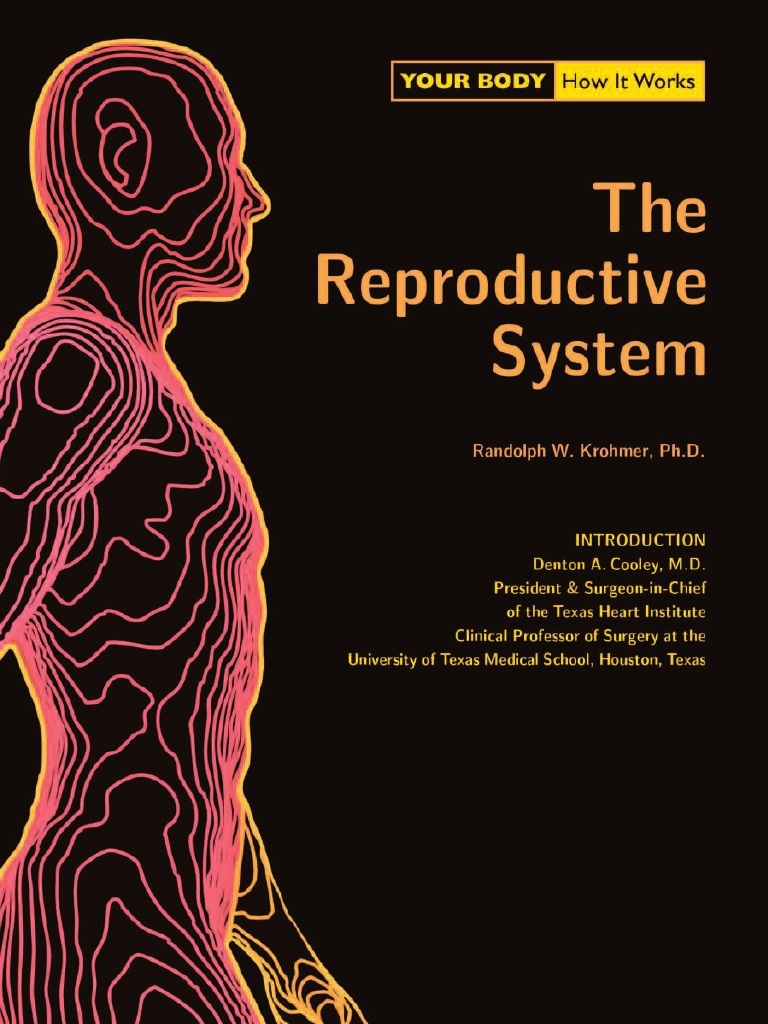 The Reproductive System | PDF | Sex | Androgen