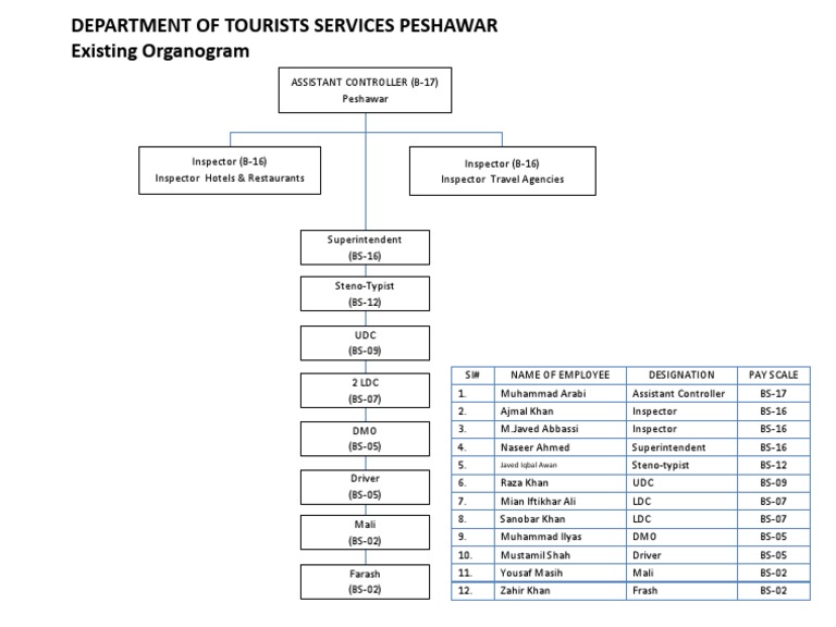 Existing Organogram | PDF | Pakistan | Violence