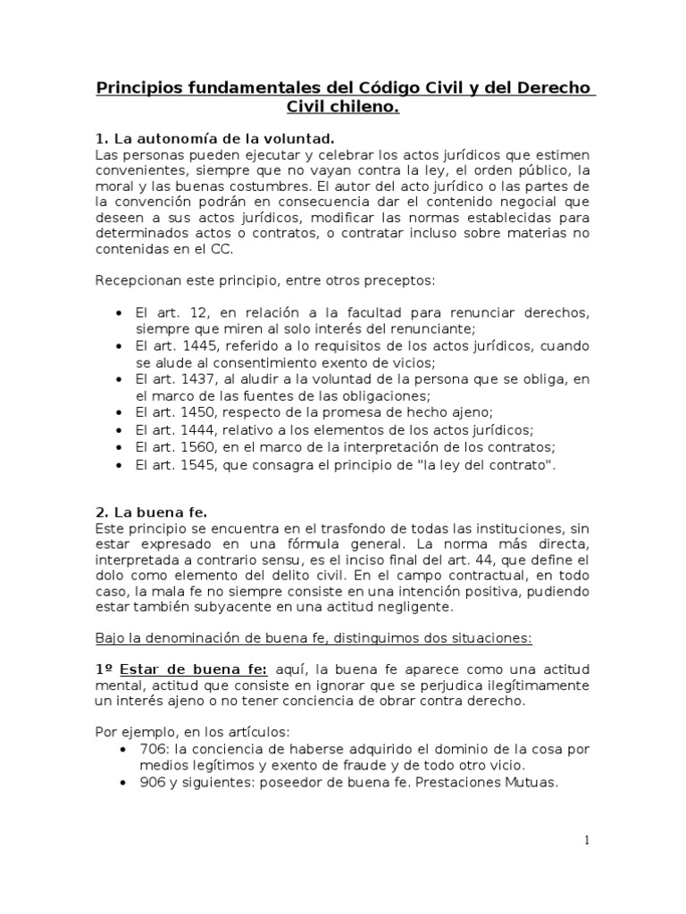 Principios Fundamentales Del Código Civil y Del Derecho Civil Chileno ...